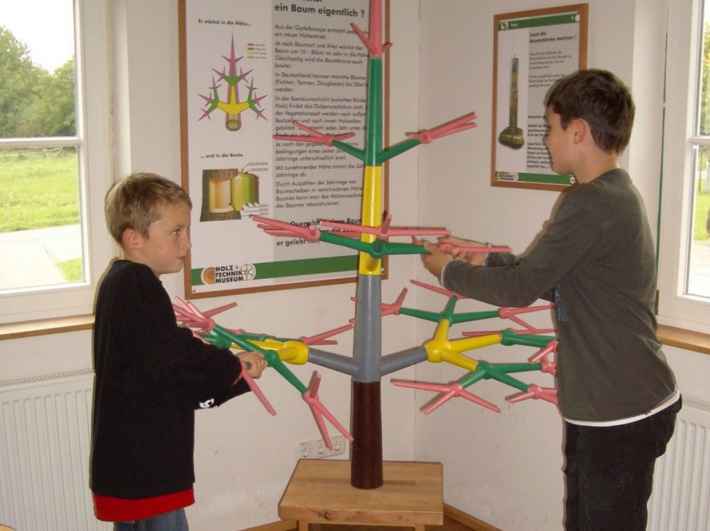 Baummodell - Holztechnikmuseum | Holztechnik und Holzmuseum